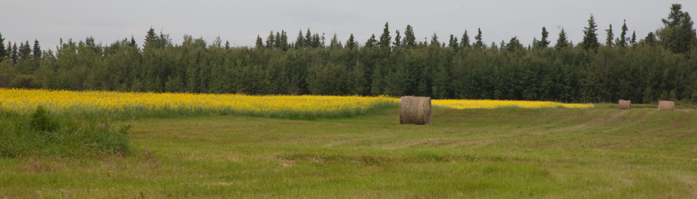 Agricultural land for sale in AB, Thorhild County | Ritchie Bros ...